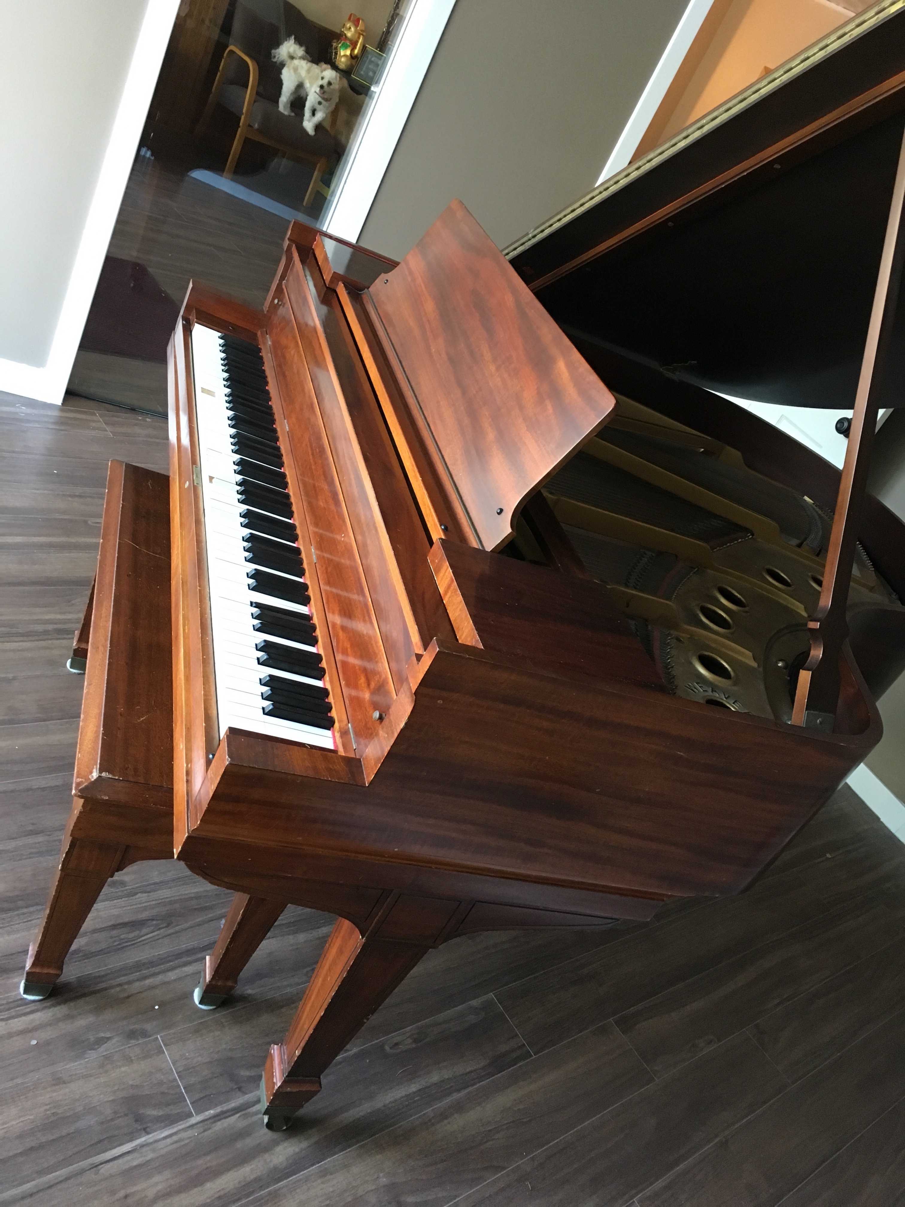 Gallery – Croton Harmon Music Academy